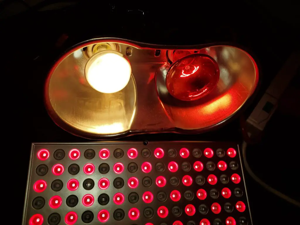 DIY Infrared Red Light Therapy: Make Your Own at Home! - Infrared for ...