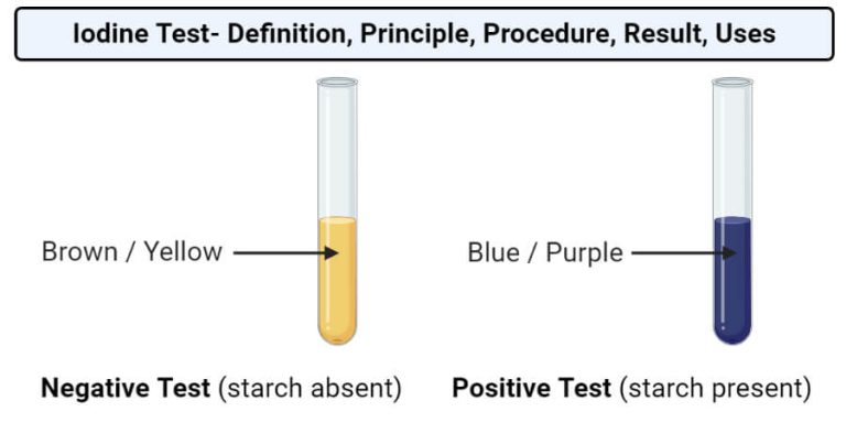 Is Iodine Positive or Negative? - Infrared for Health