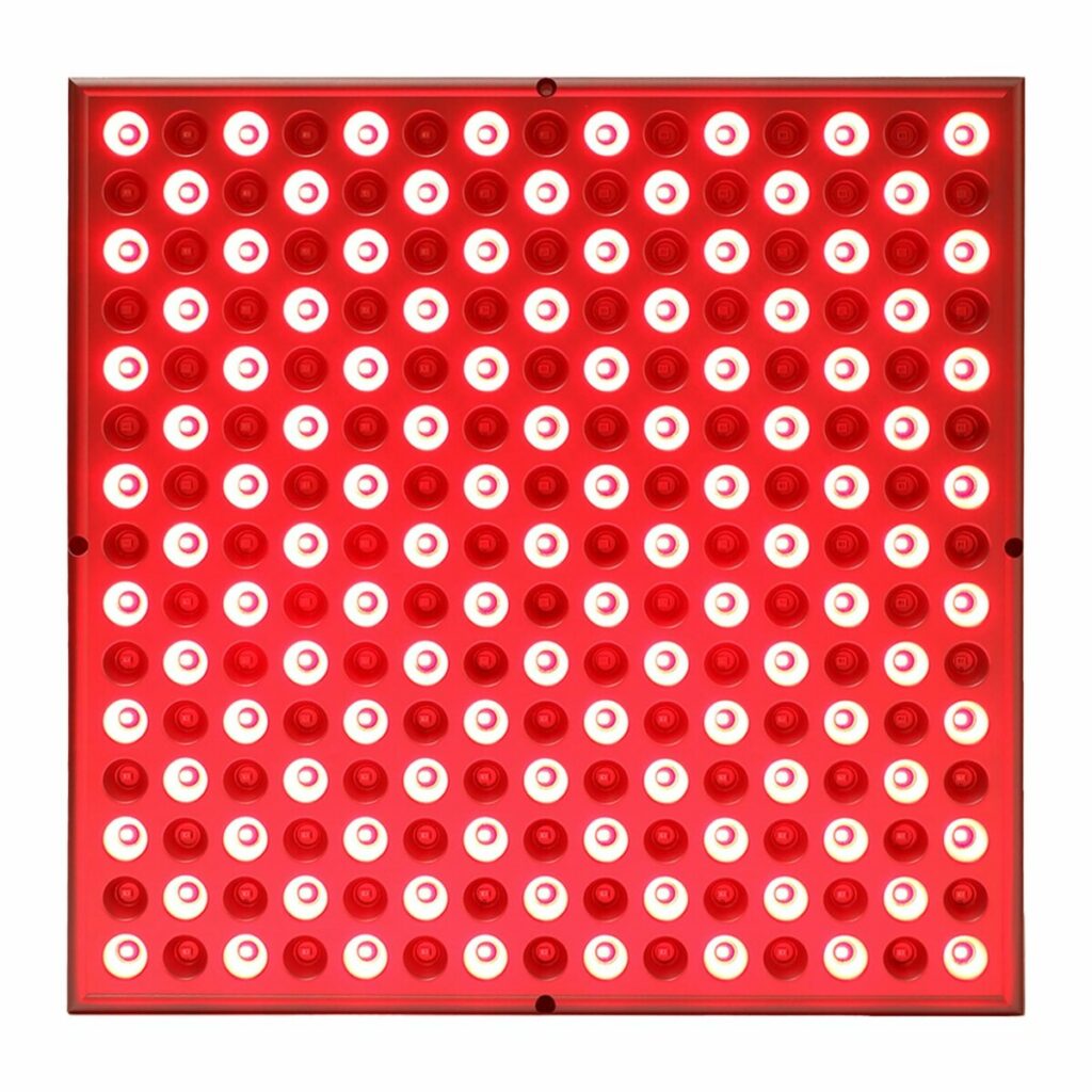 Best Red Light Therapy Panels for Optimal Health and Wellness ...