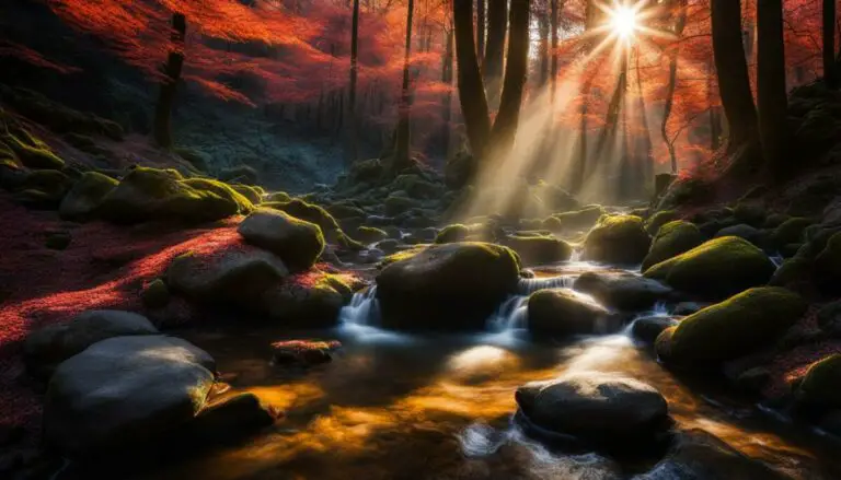 Unlocking Wellness: How to Get Infrared Light Naturally - Infrared for ...